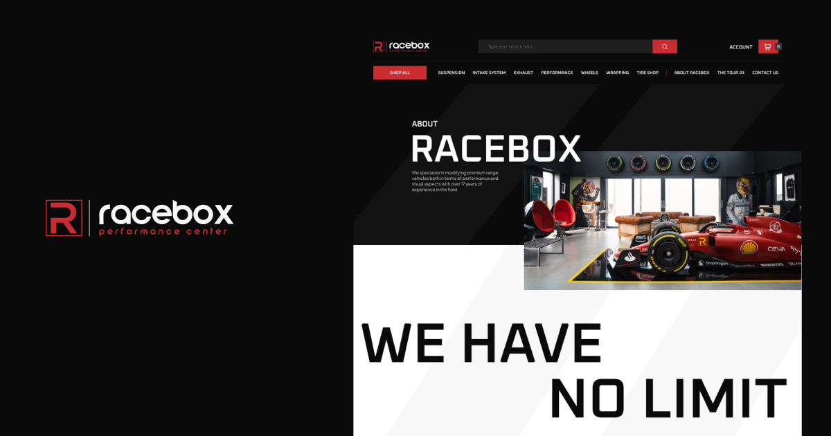 ALPHA-N Carbon rear wing Alpha-Racing